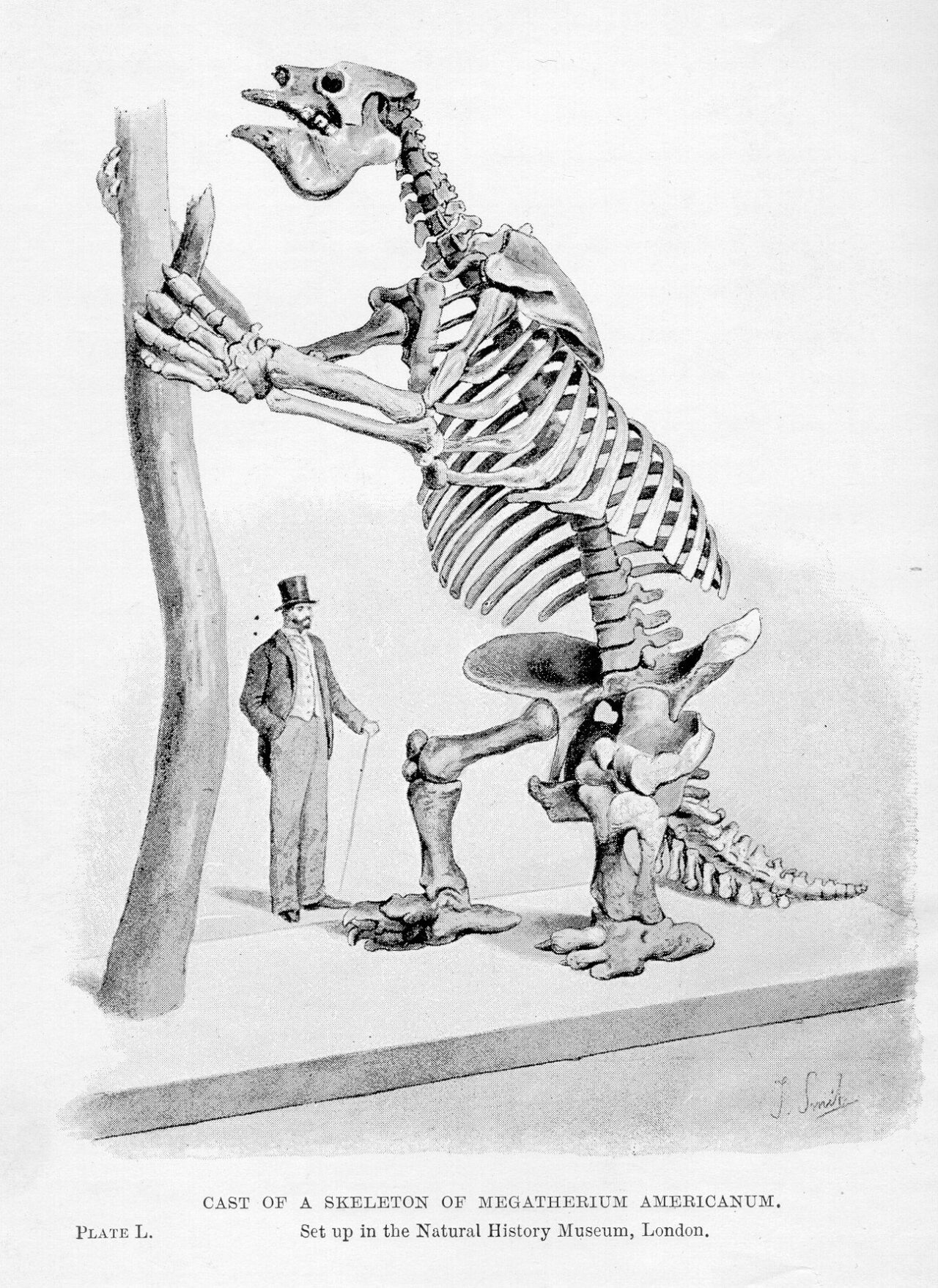 Prehistoric Giants in Noblesville - Hamilton East Public Library Website
